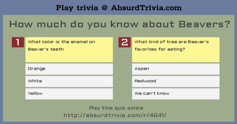 Trivia Quiz : How much do you know about Beavers?